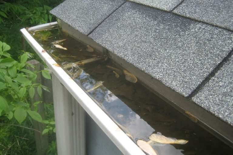 Can Blocked Gutters Cause Damp in Your Home? - GutterClear Services LTD